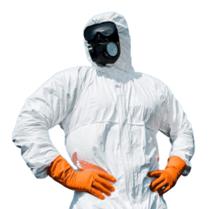 Pest Control Services : Hamilton, Niagara, Haldimand, Halton, Brantford